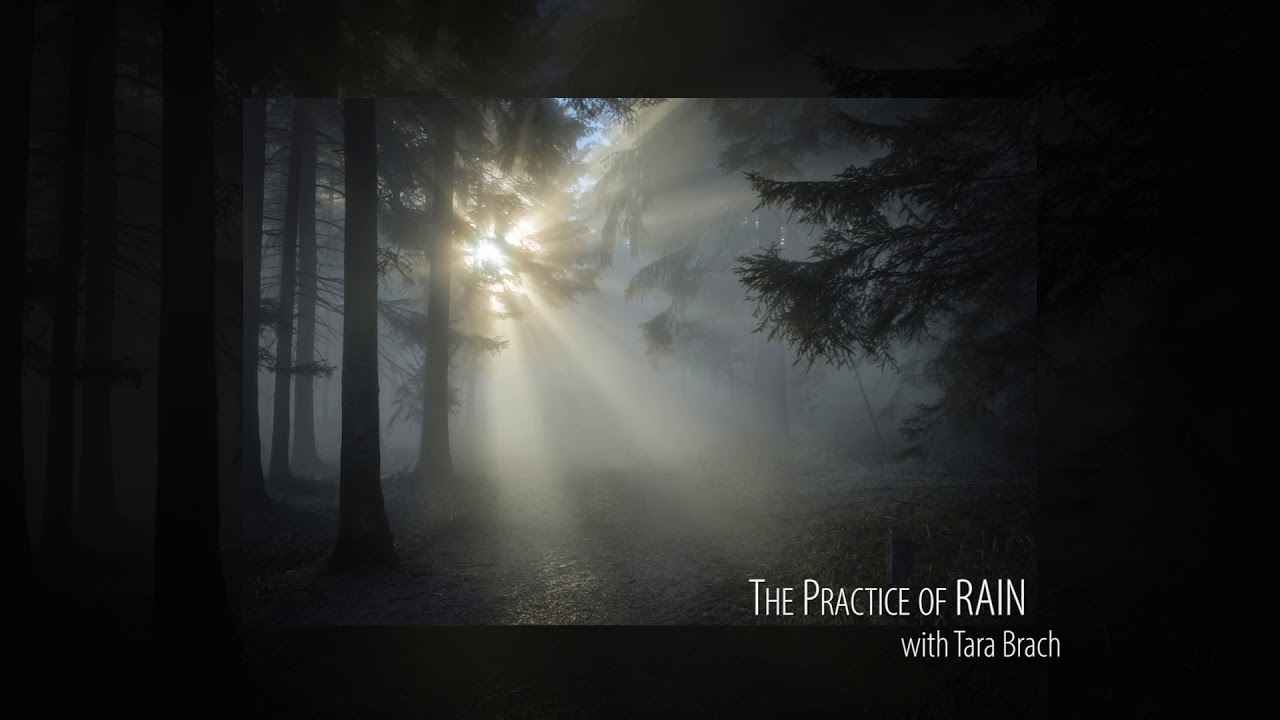 Tara Brach leads a Guided Meditation: The Practice of RAIN • ATMAPLACE.com